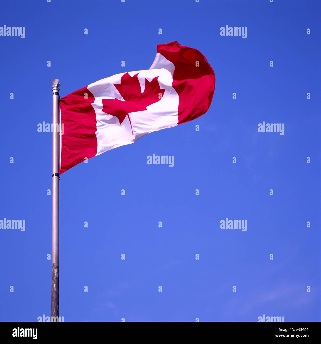 The Canadian National Flag and the Maple Leaf Stock Photo - Alamy