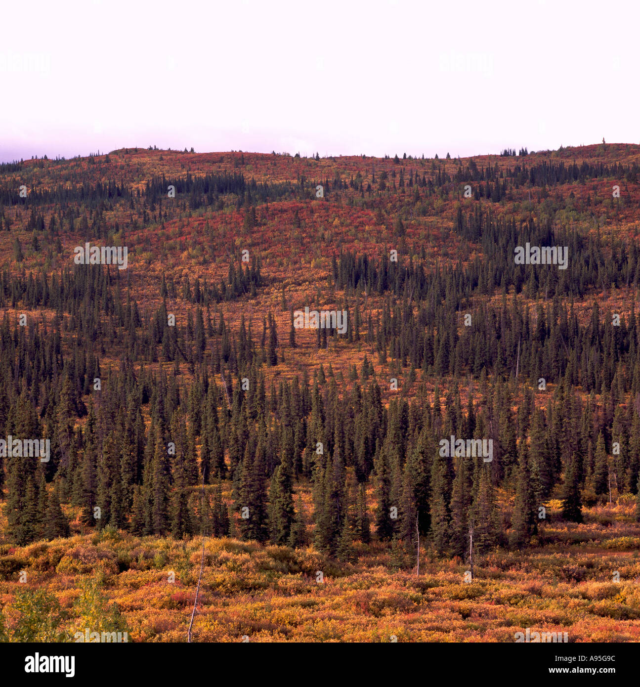 60x60 hi-res stock photography and images - Alamy