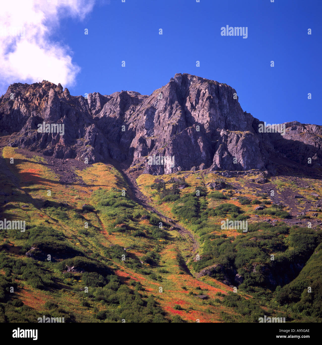 Canada us border treeline hi-res stock photography and images - Alamy