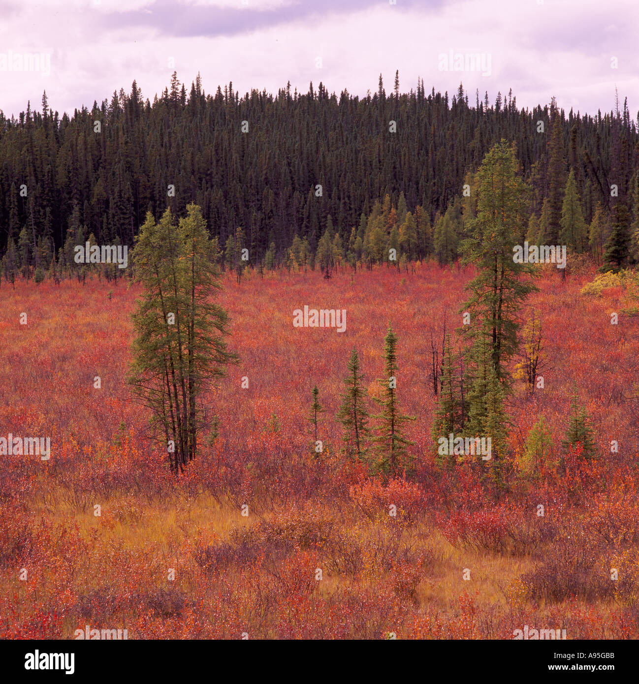 60x60 hi-res stock photography and images - Alamy