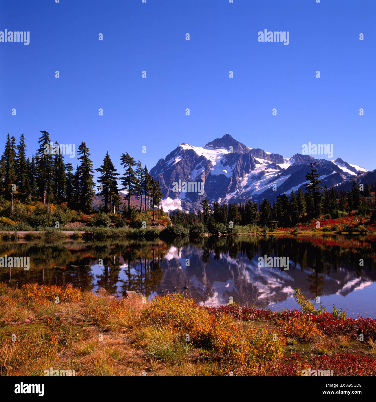 Mt Shuksan reflecting in Picture Lake in 'Heather Meadows', Mount Baker ...