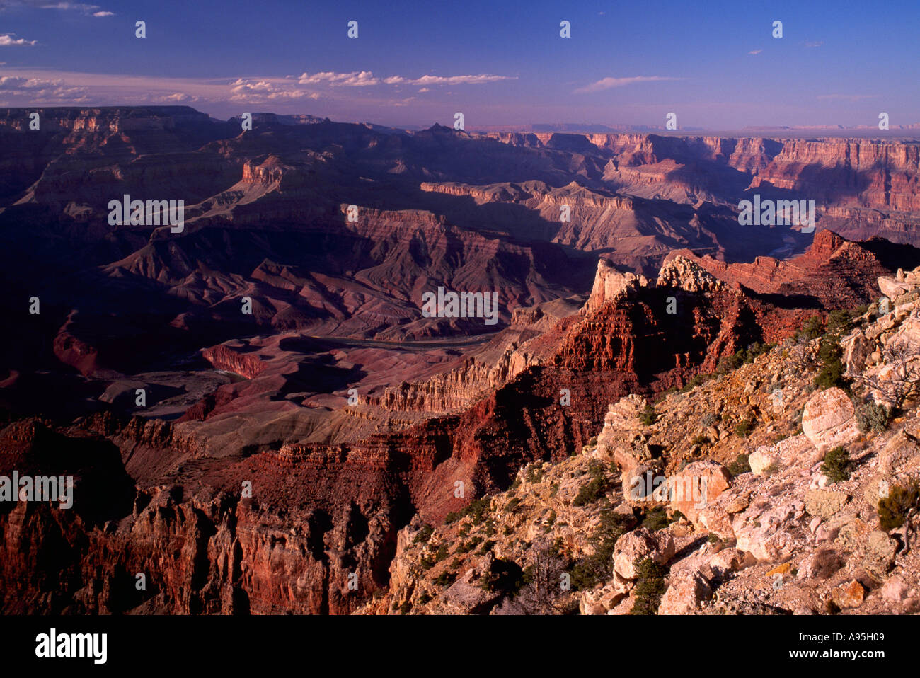 A View into the Grand Canyon from the South Rim in Grand Canyon ...