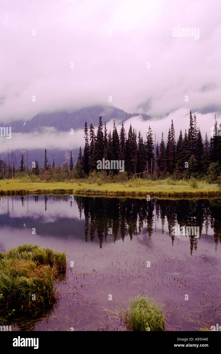 A Boreal Forest and Lake in Northern British Columbia Canada Stock ...