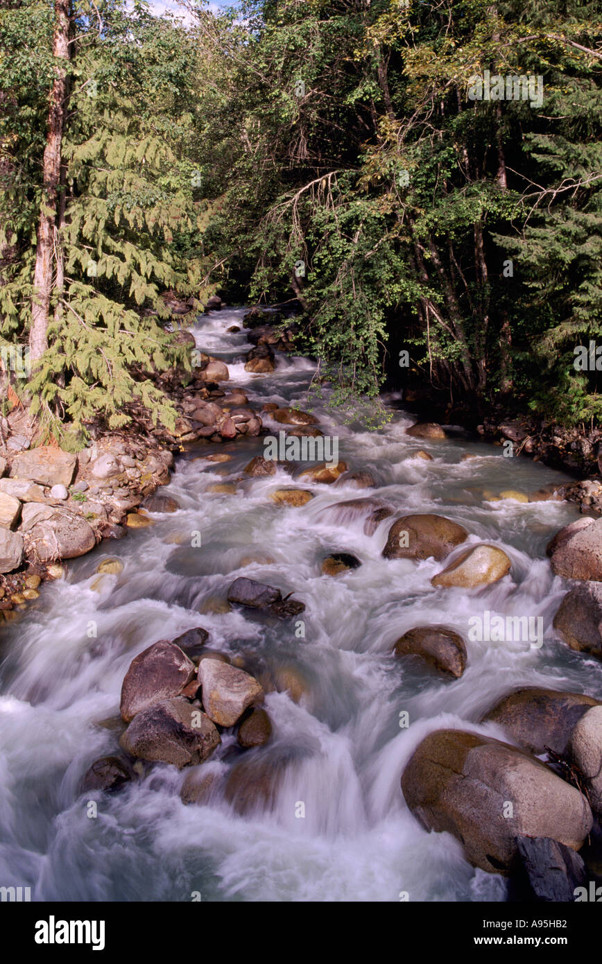 Canada meander stream forest hi-res stock photography and images - Alamy