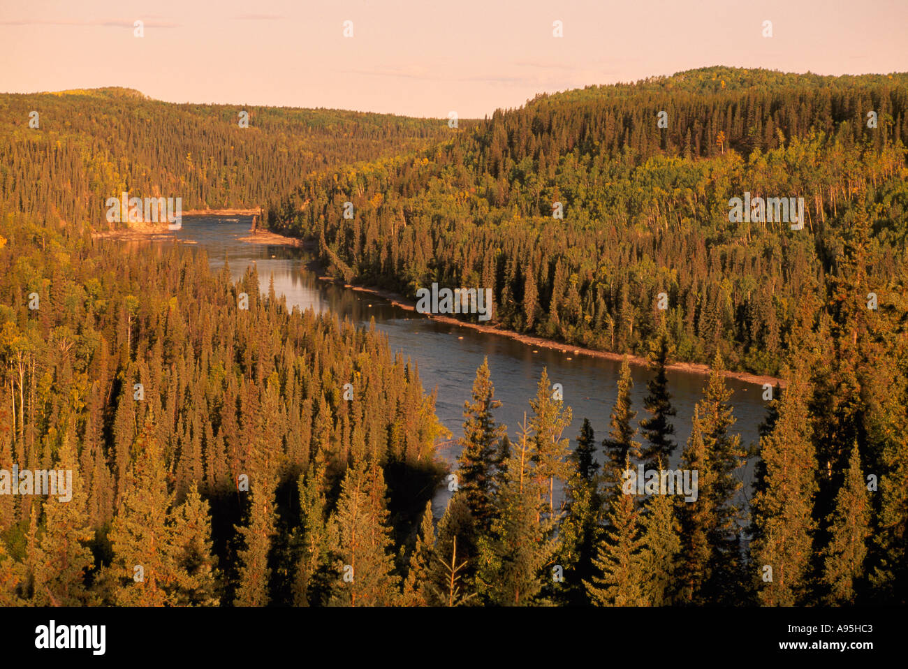 The Rancheria River running through a Boreal Forest, Northern BC ...