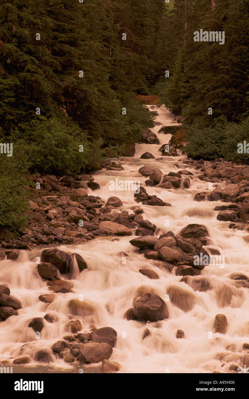 Canada meander stream forest hi-res stock photography and images - Alamy