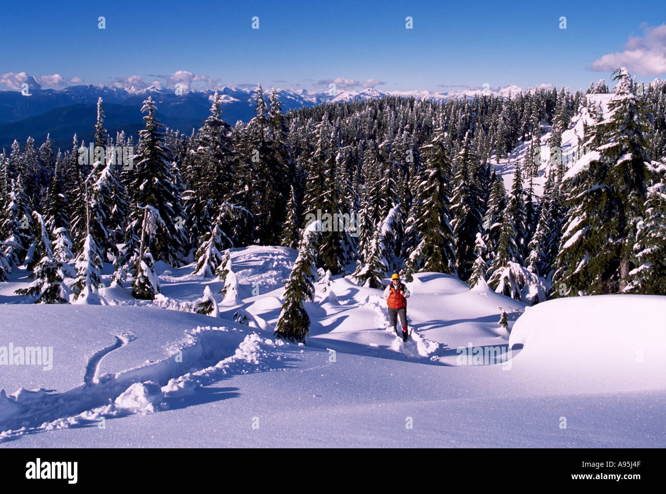 Cypress mountain view point hi-res stock photography and images - Alamy