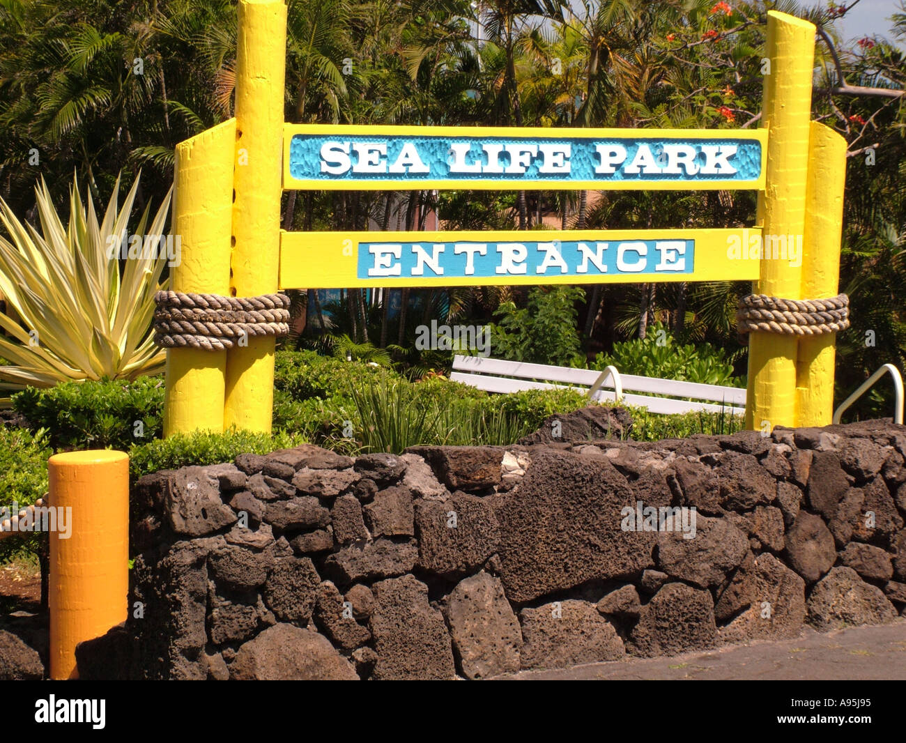 Sea life park honolulu hi-res stock photography and images - Alamy