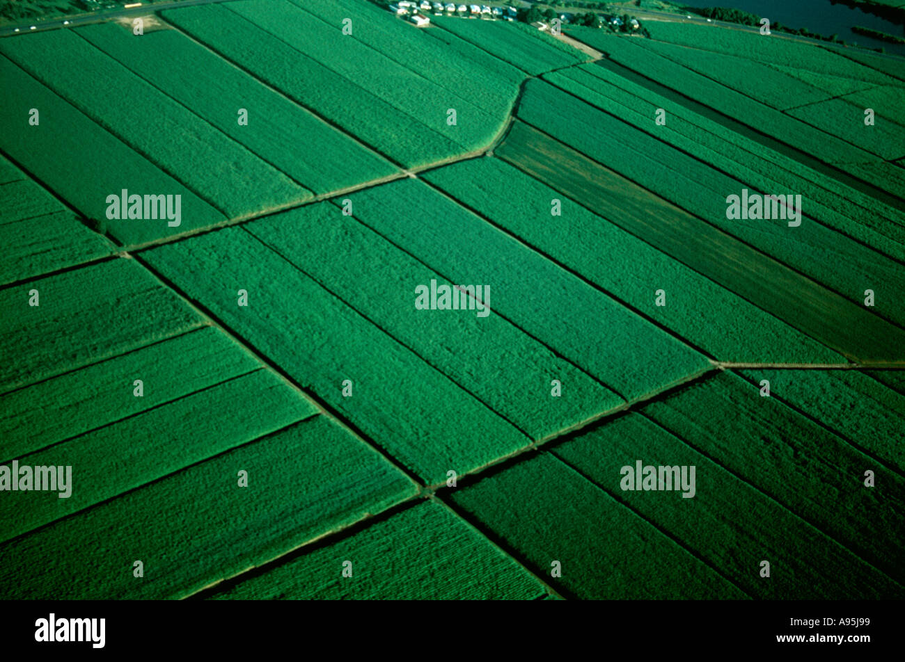 Tweed valley aerial hi-res stock photography and images - Alamy