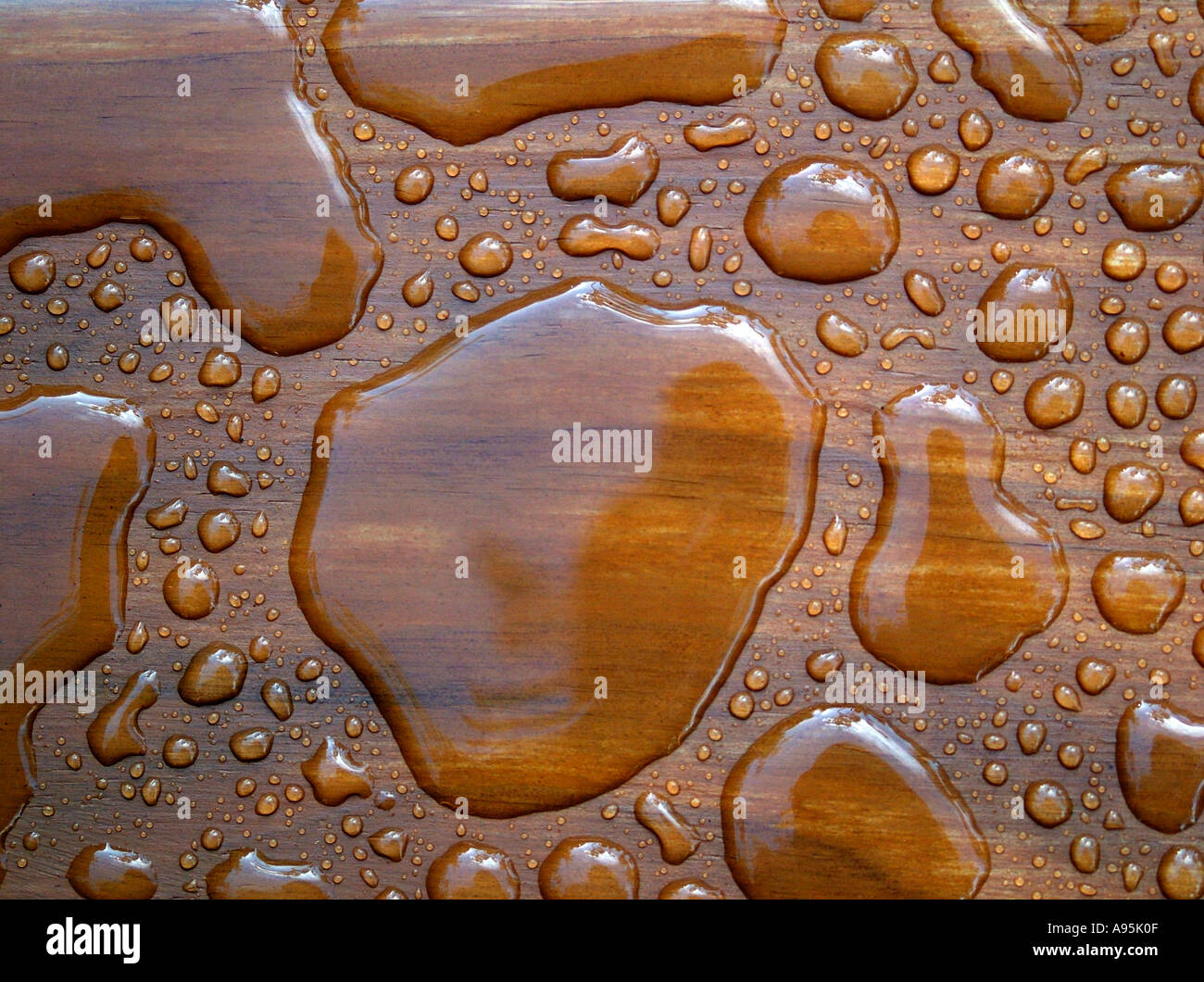 Water droplets on wood timber protection on decking Stock Photo - Alamy