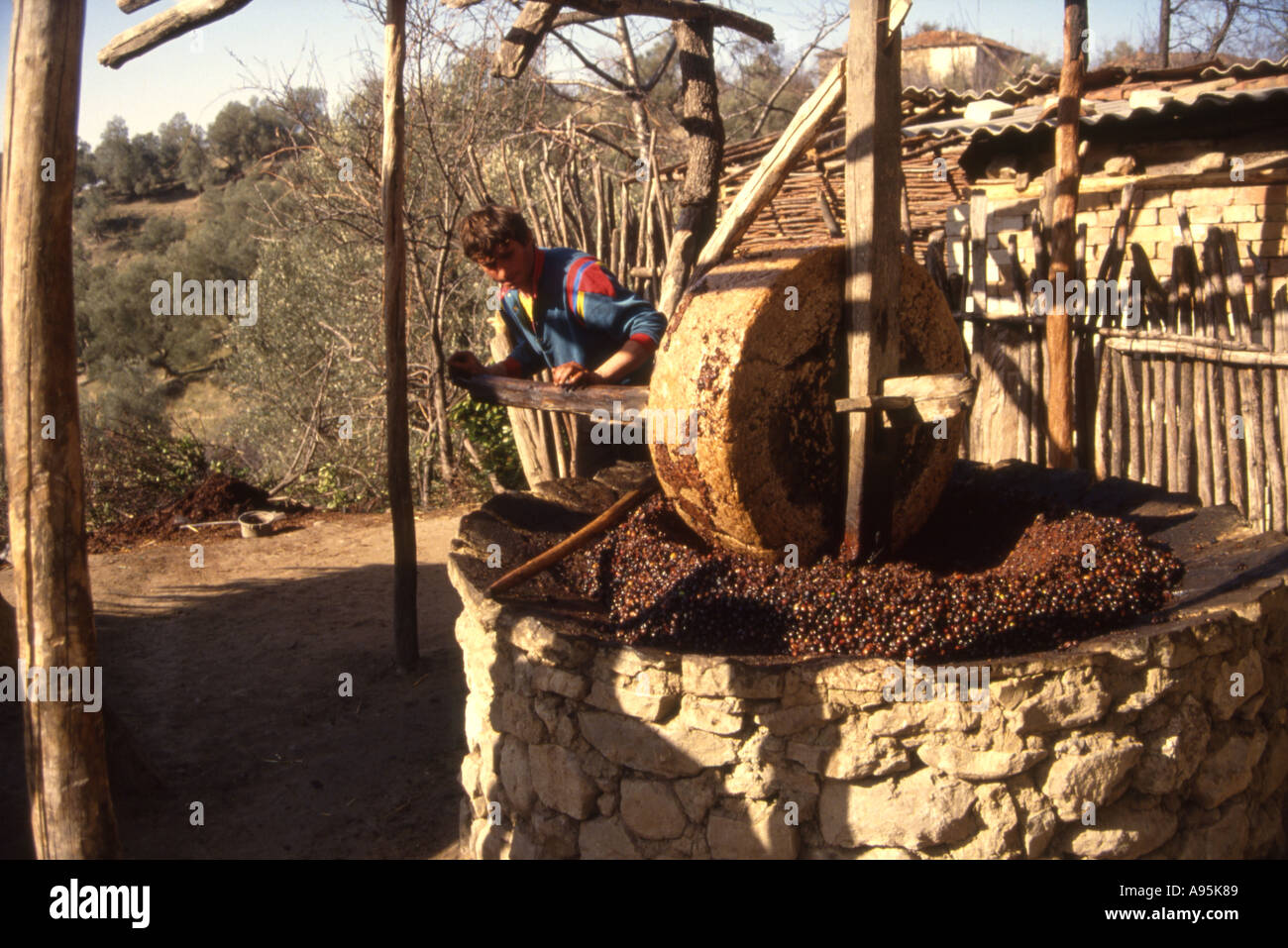 Man crushing olives for oil using primitive stone wheel Albania Stock ...