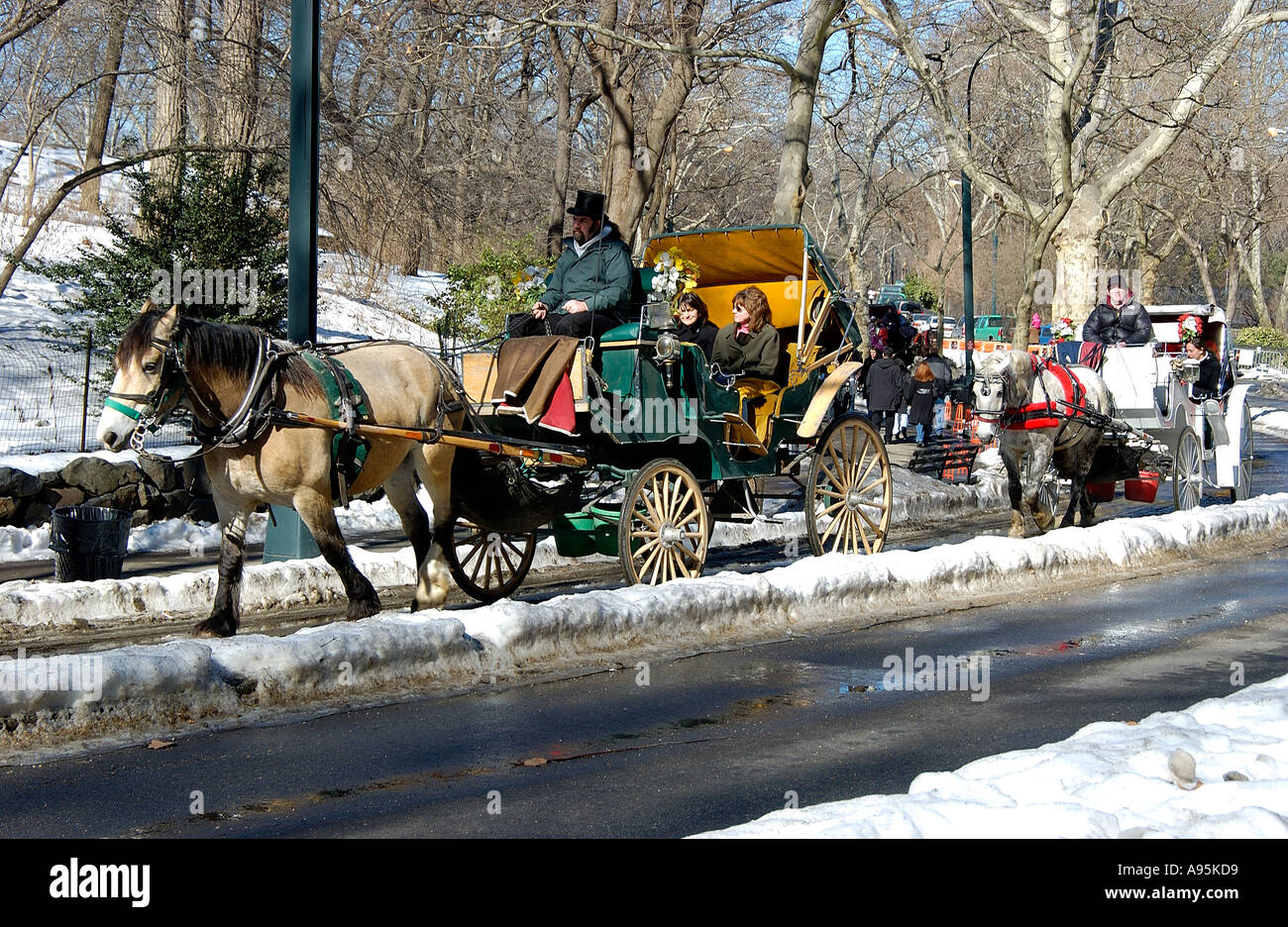 Winter carriage ride Central Park New York Stock Photo - Alamy