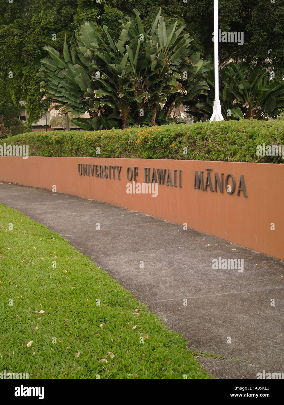 University of hawaii manoa hi-res stock photography and images - Alamy