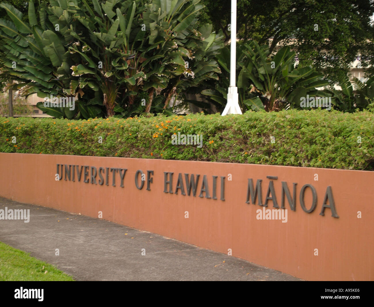 University of hawaii manoa hi-res stock photography and images - Alamy