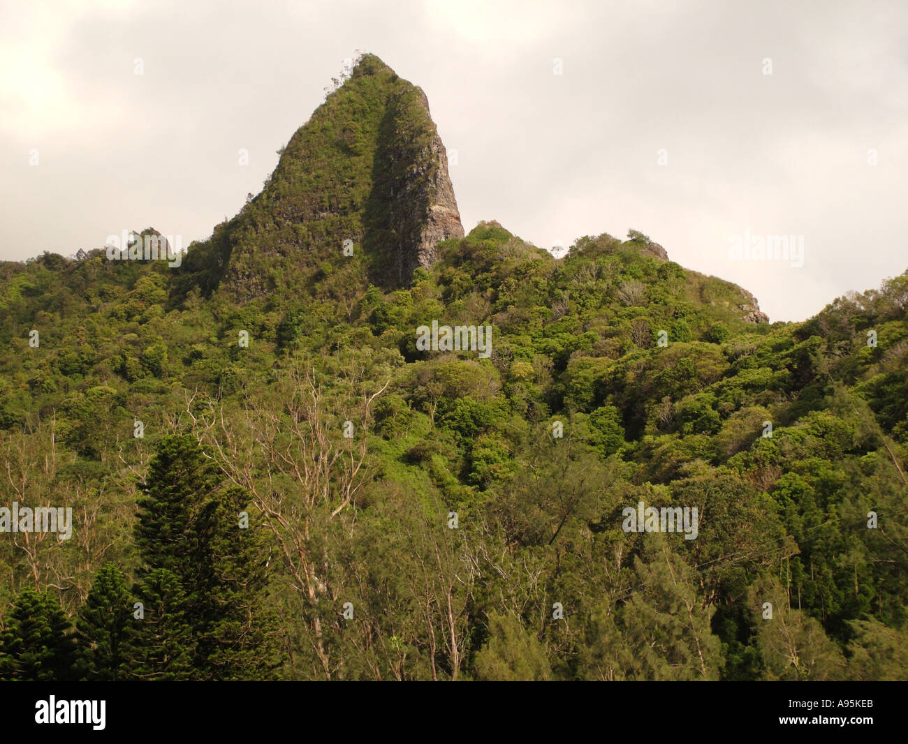 Battle of nuuanu hi-res stock photography and images - Alamy