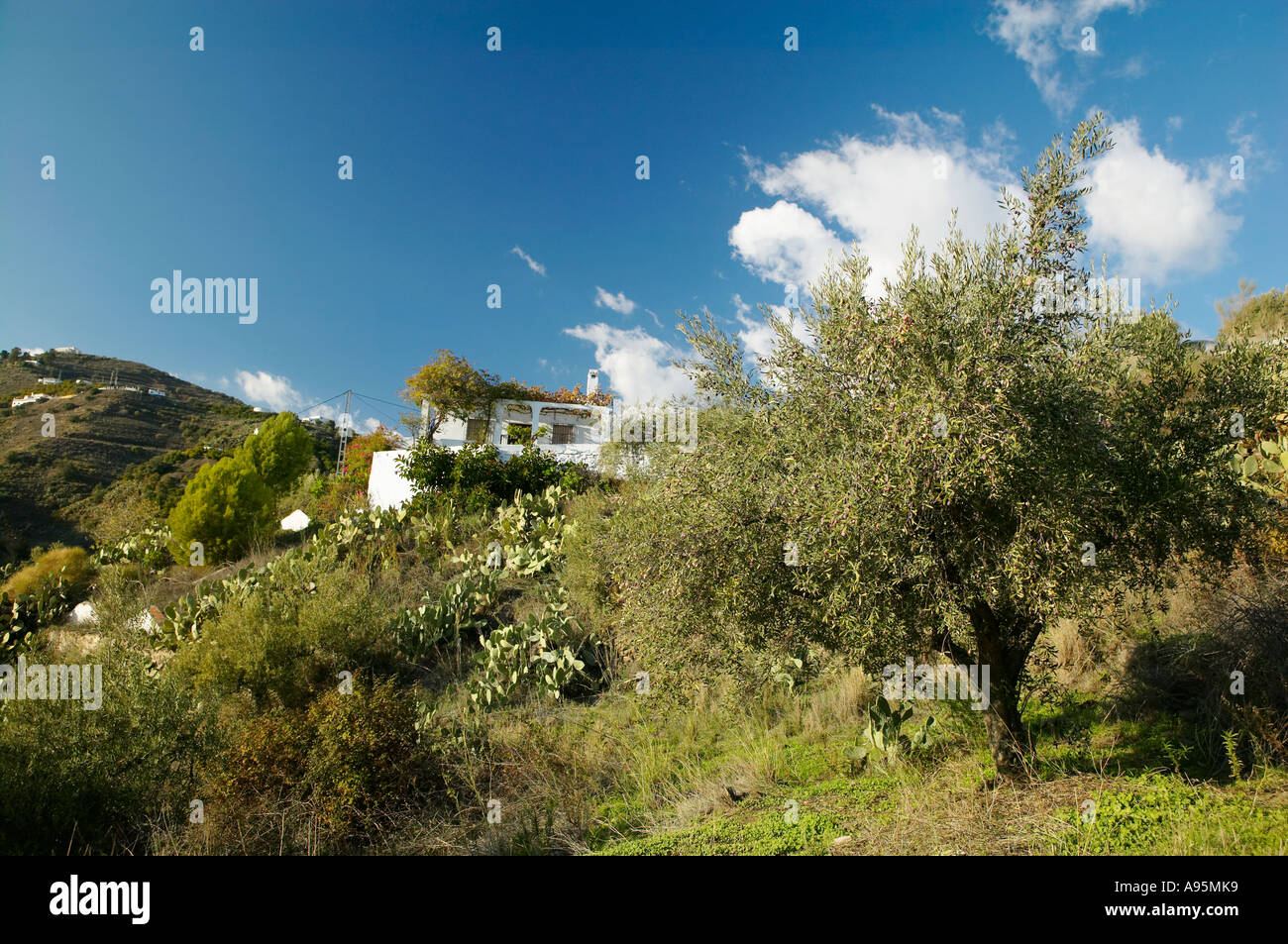 La Axarquia landscape Costa del Sol, Malaga, Andalucia, Spain Stock ...