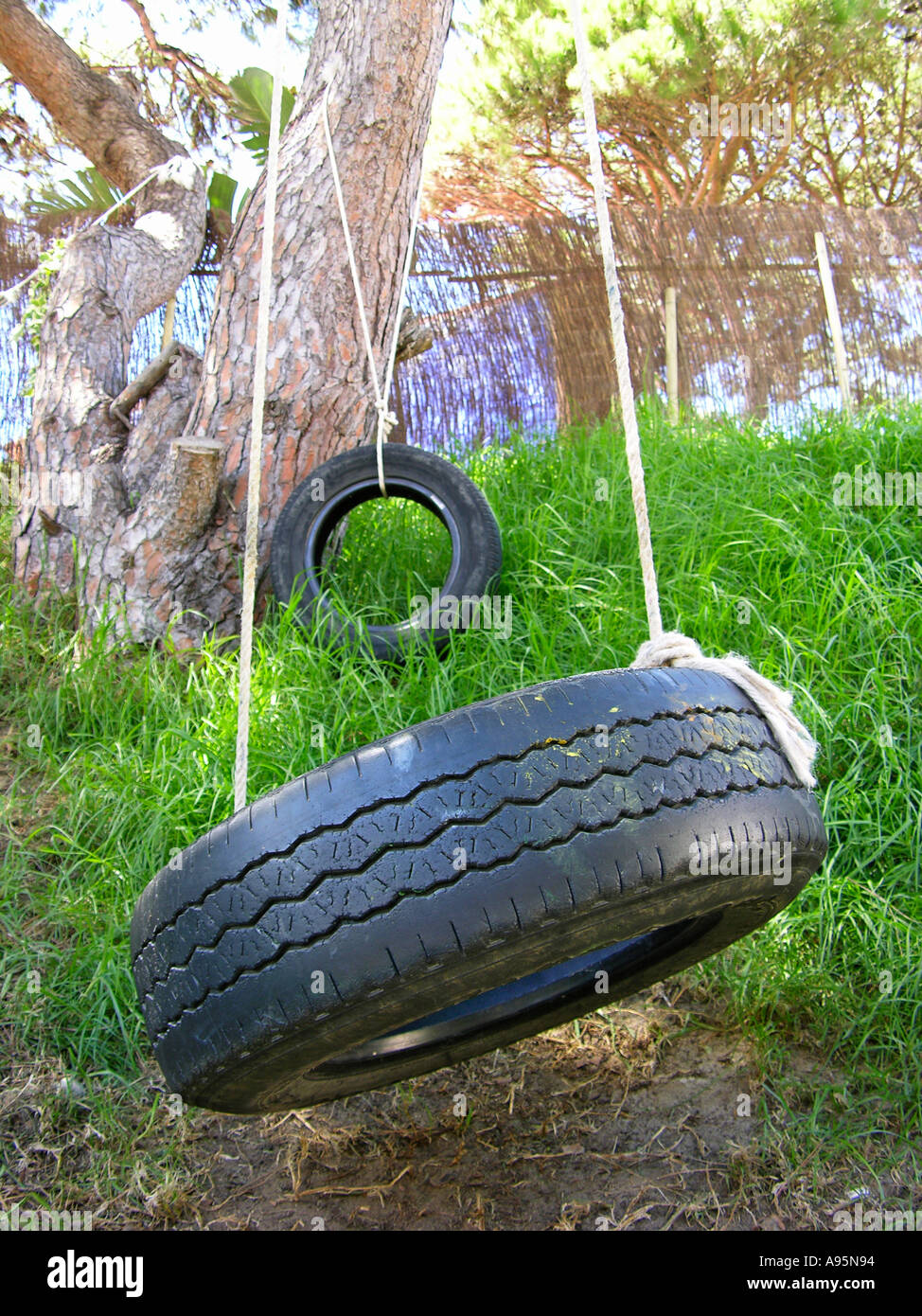 Tyre swings hi-res stock photography and images - Alamy