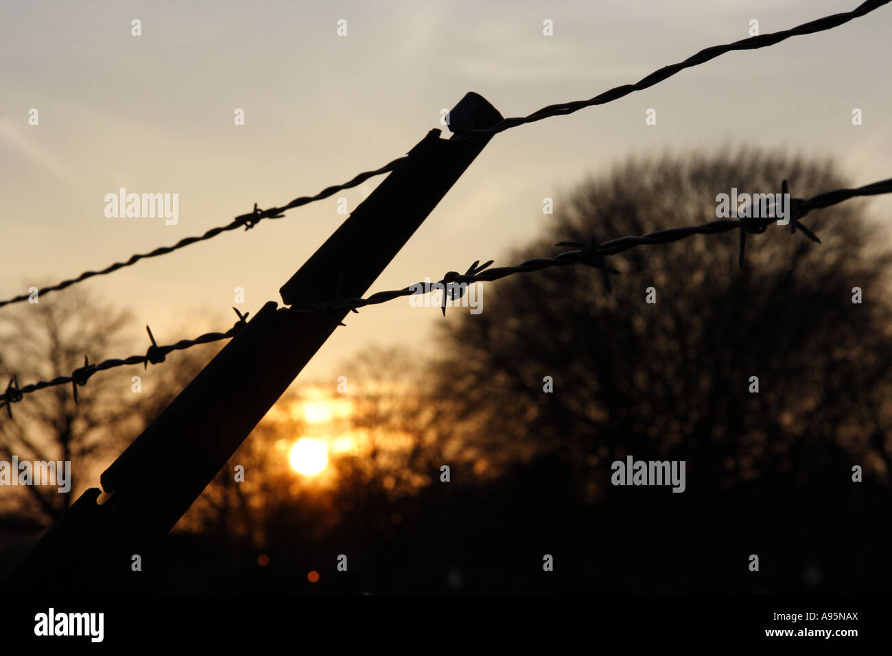 Digital border hi-res stock photography and images - Alamy