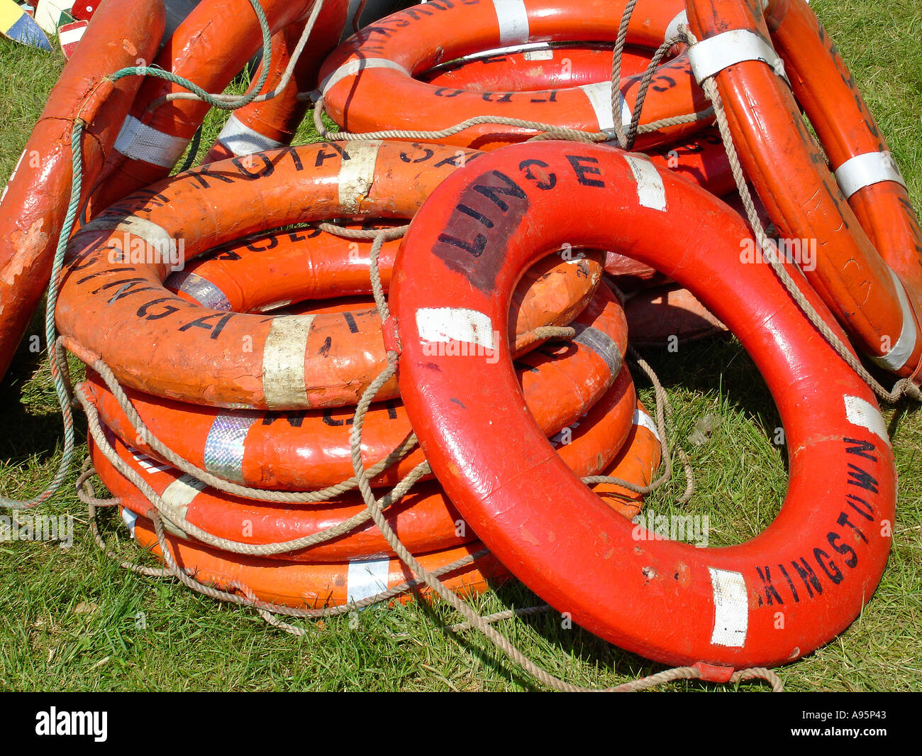 Vintage marine life hi-res stock photography and images - Alamy