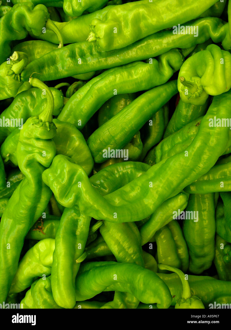 full picture of peppers Stock Photo - Alamy