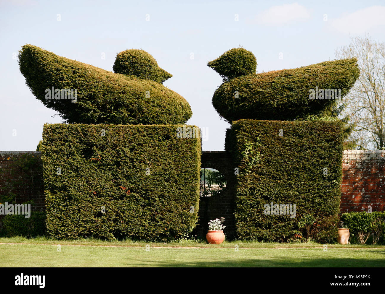 Topiary birds hi-res stock photography and images - Alamy