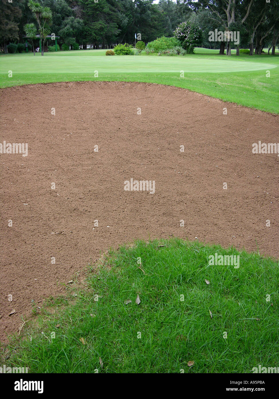 bunker in a golf course Stock Photo - Alamy