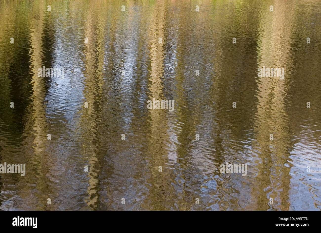Swettenham cheshire hi-res stock photography and images - Alamy