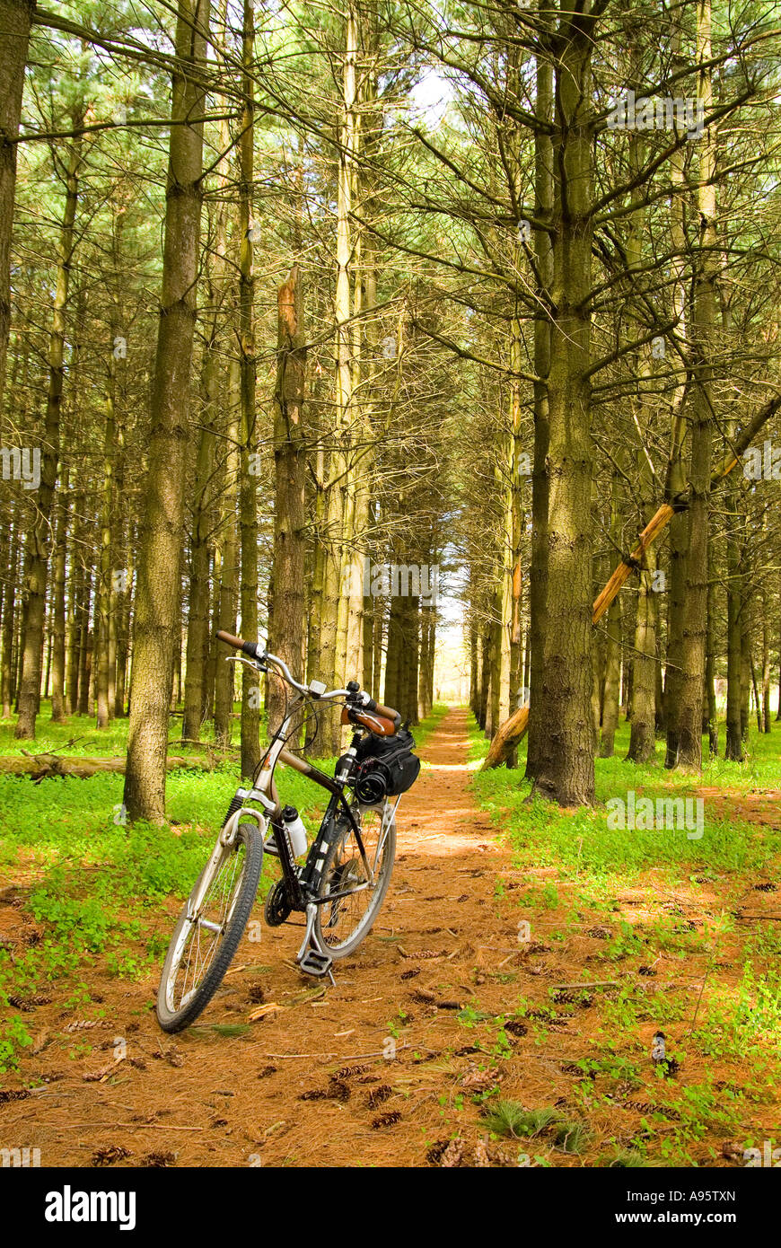 Bicycle and Path Stock Photo - Alamy