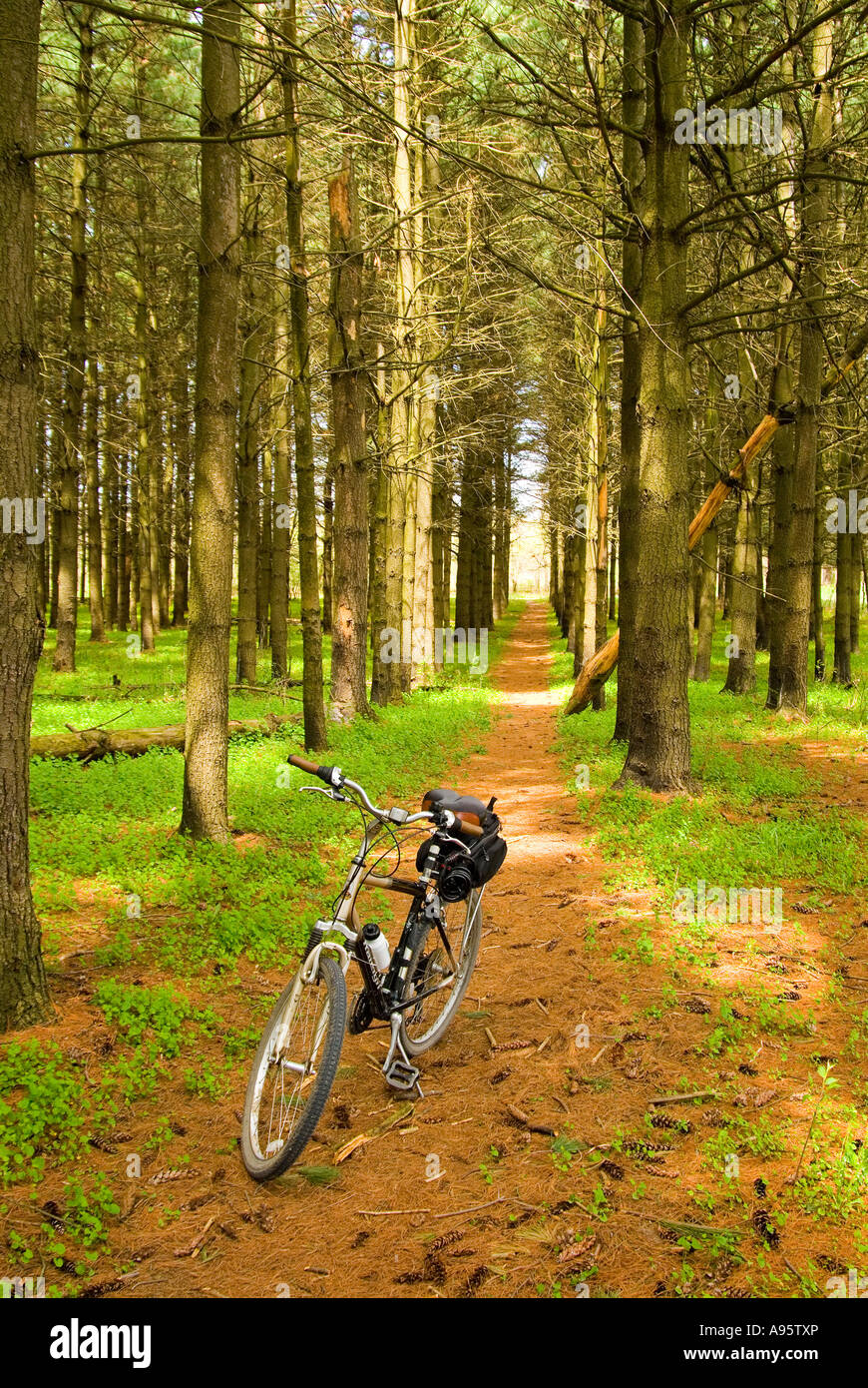 Bicycle & Forest Trail Stock Photo - Alamy
