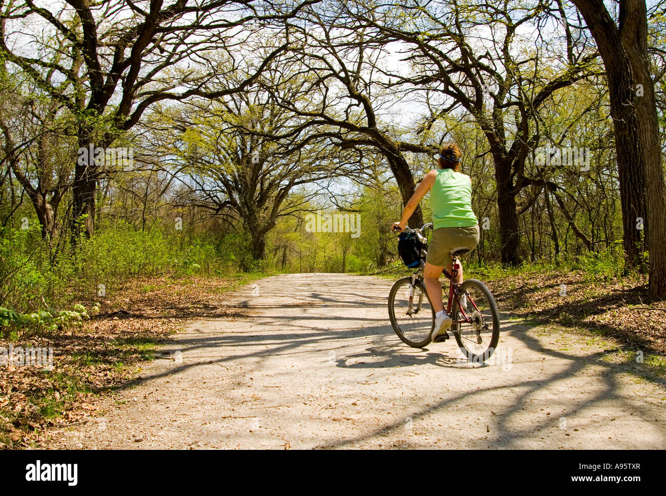 Bike Trail through Forest Stock Photo - Alamy