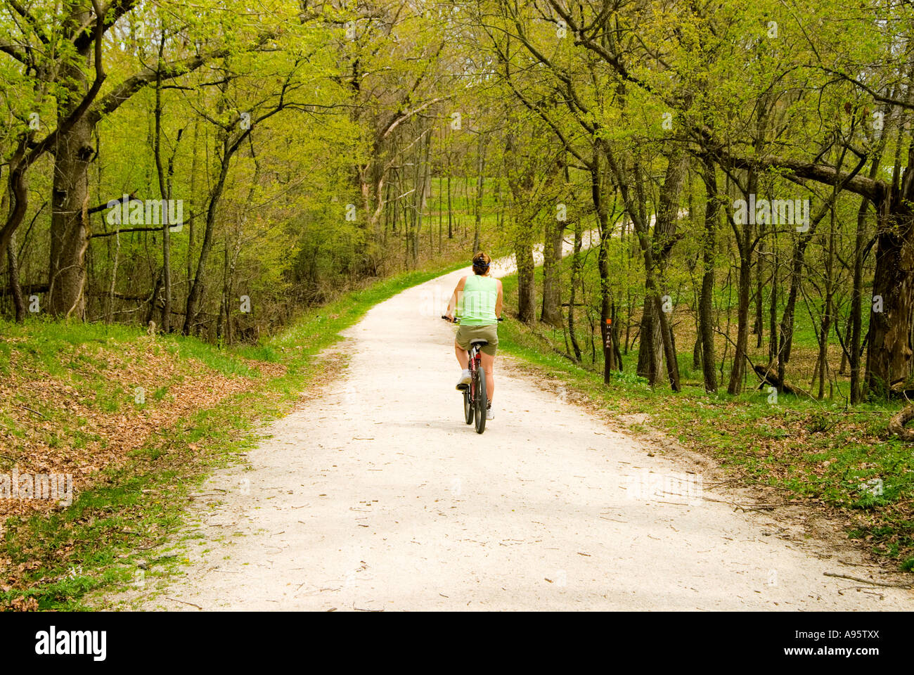 Bicycle Path in Spring Stock Photo - Alamy