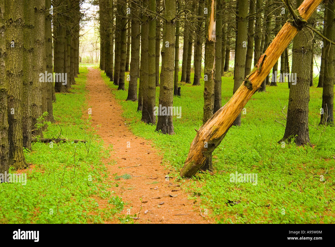 White pine trail state park hi-res stock photography and images - Alamy