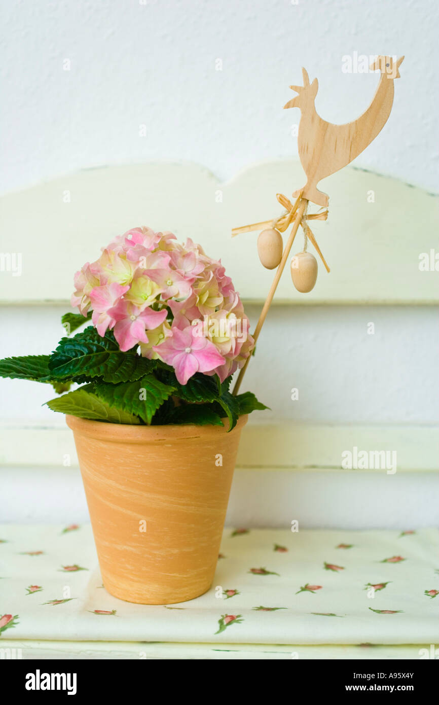 Hydrangea plant in flowerpot with Easter ornament Stock Photo - Alamy