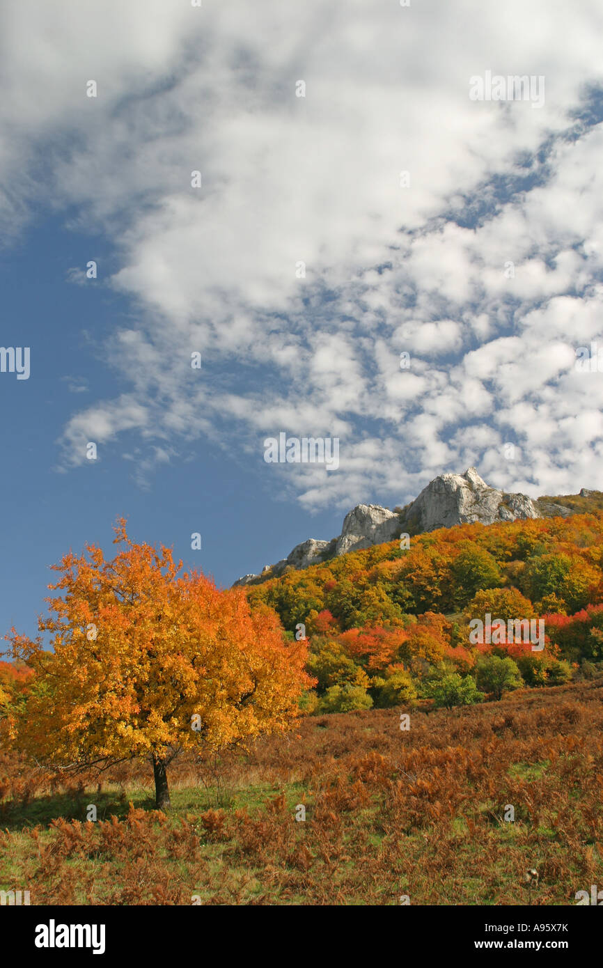 autumn landscapein Balkan mountine / Bulgaria Stock Photo - Alamy