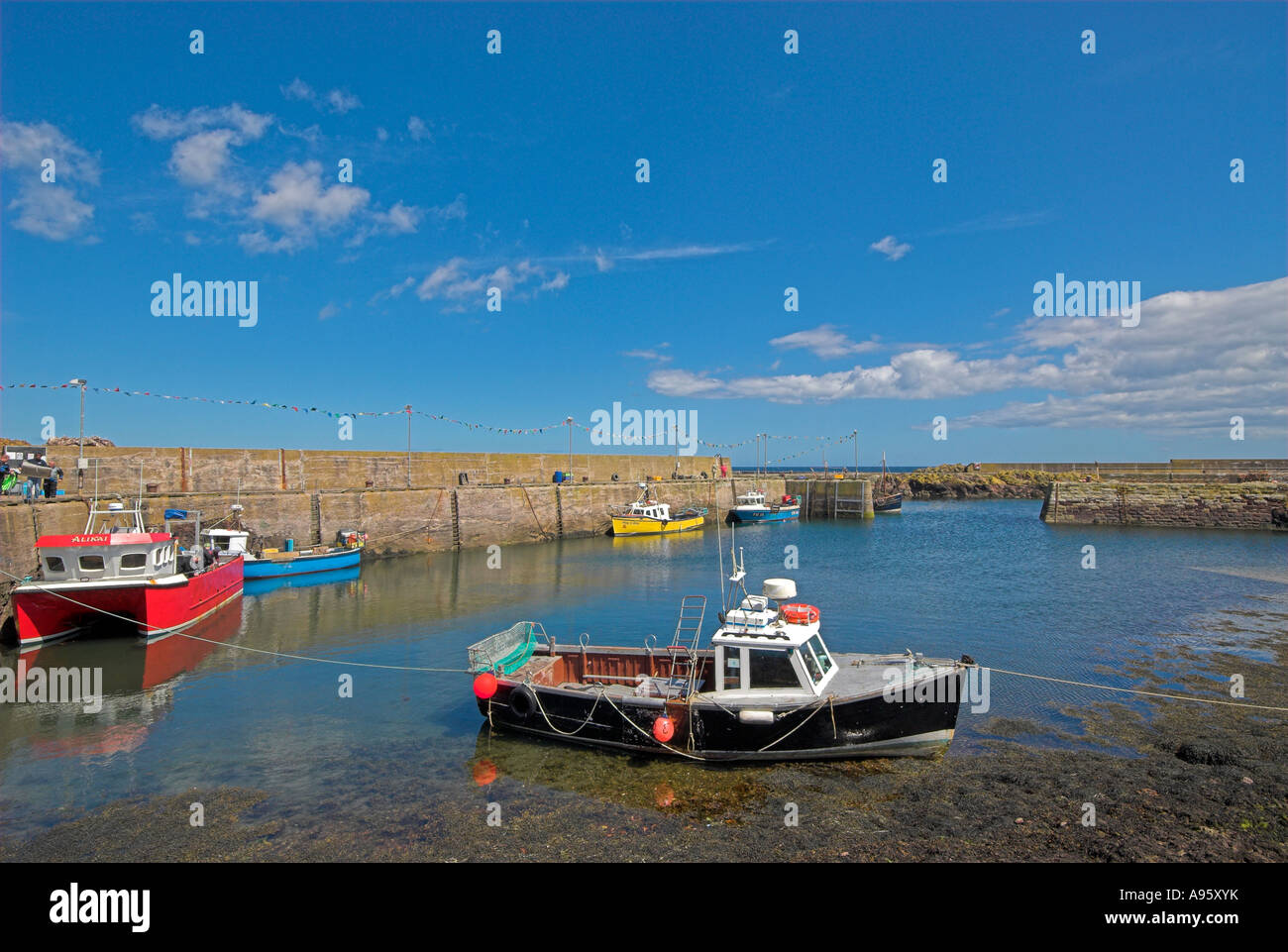 Lobster fishing boat scottish borders hi-res stock photography and ...
