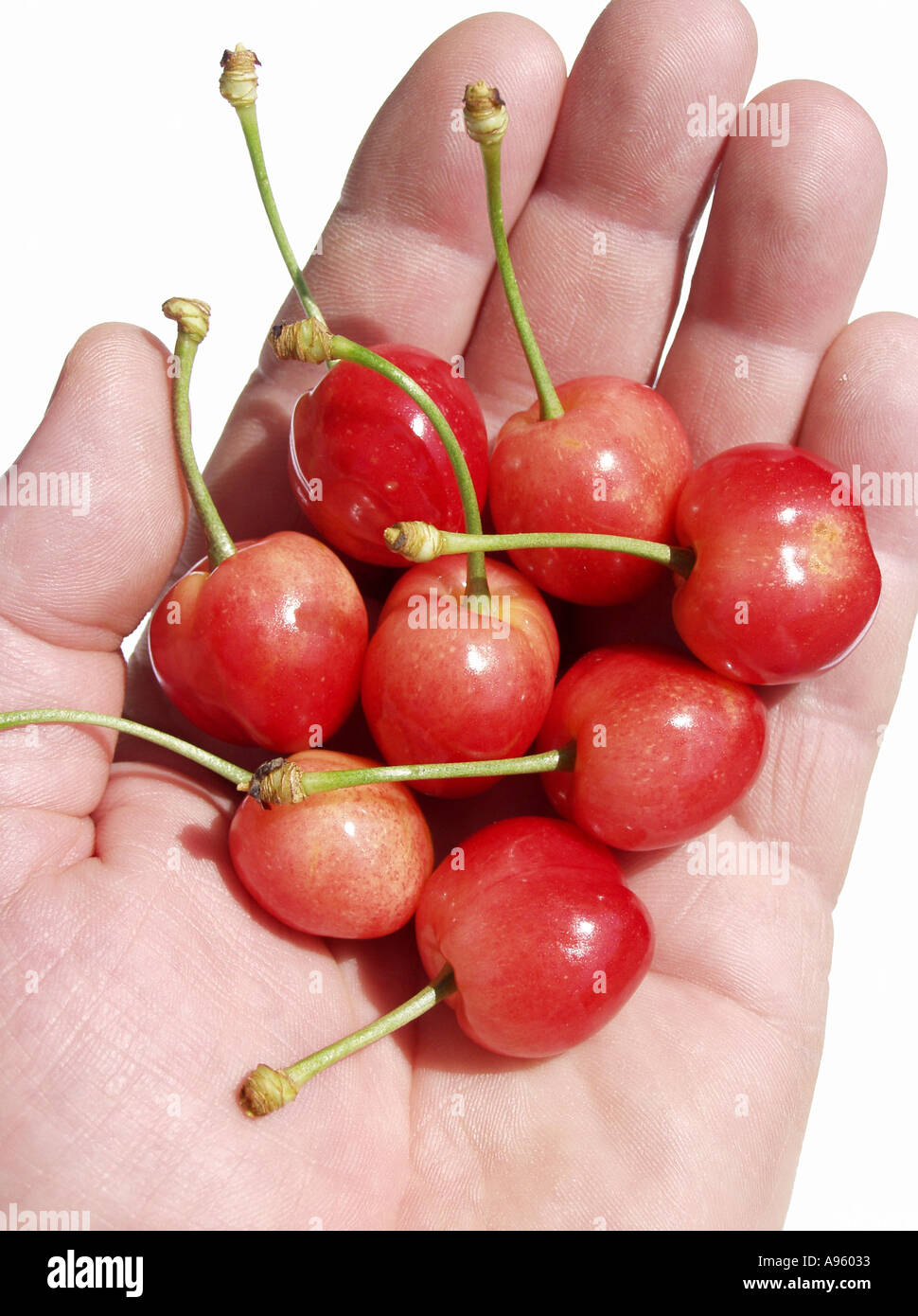 Cherries on hand Stock Photo - Alamy