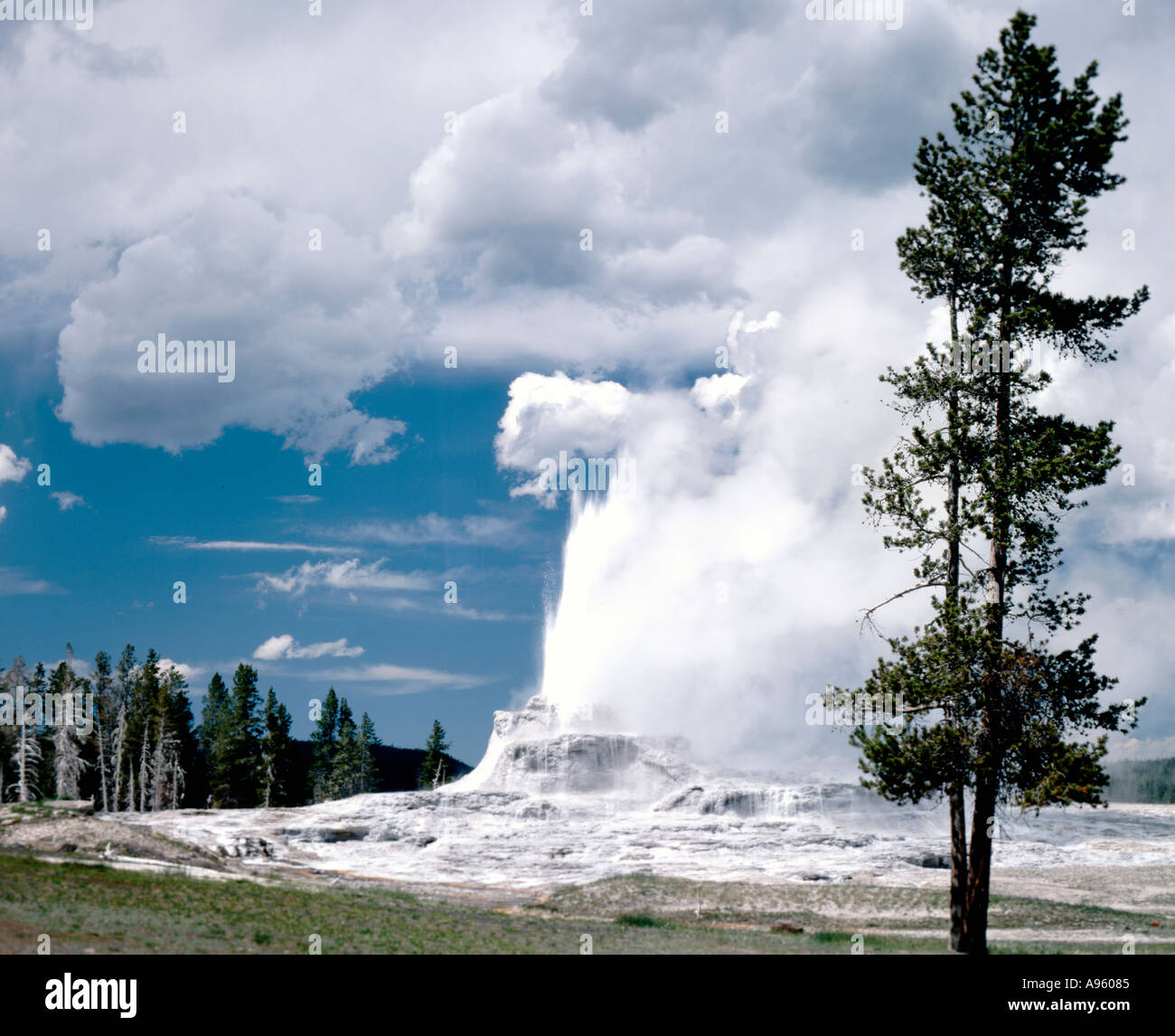 YELLOWSTONE NATIONAL PARK IN WYOMING SHOWING CASTLE GEYSER Stock Photo ...