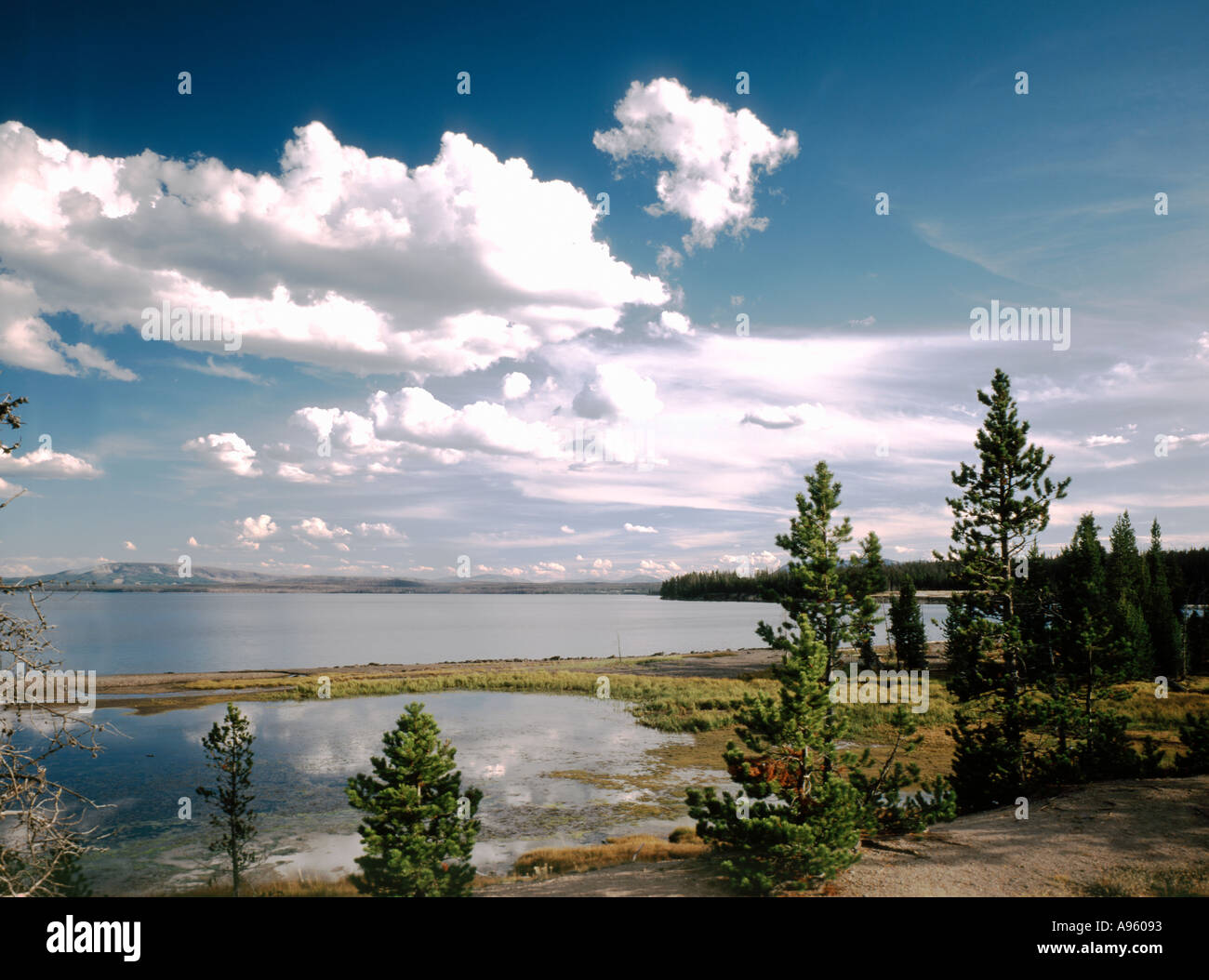 Yellowstone lake otters hi-res stock photography and images - Alamy