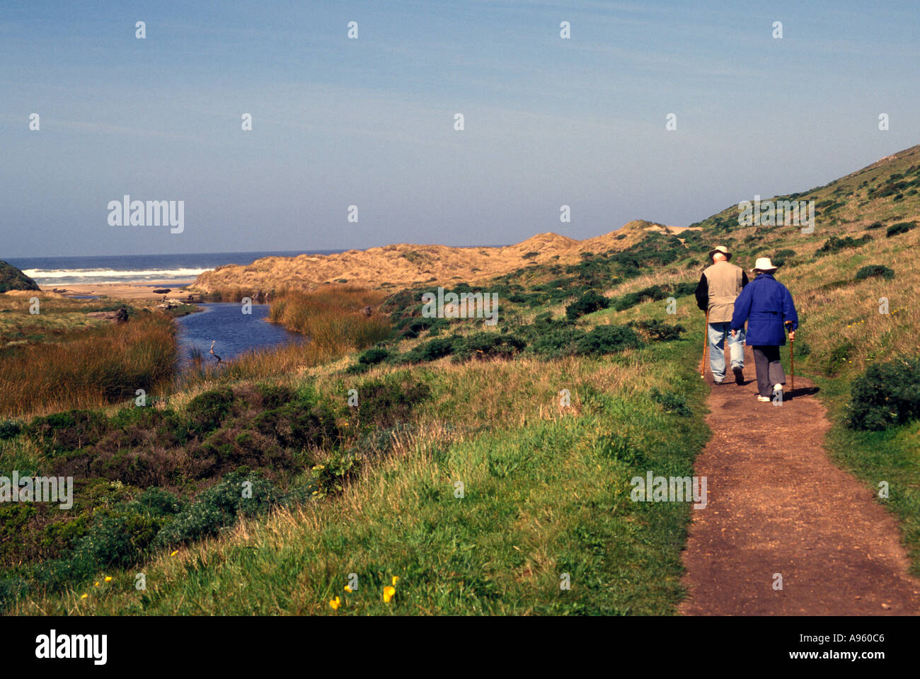 Kehoe beach point reyes hi-res stock photography and images - Alamy