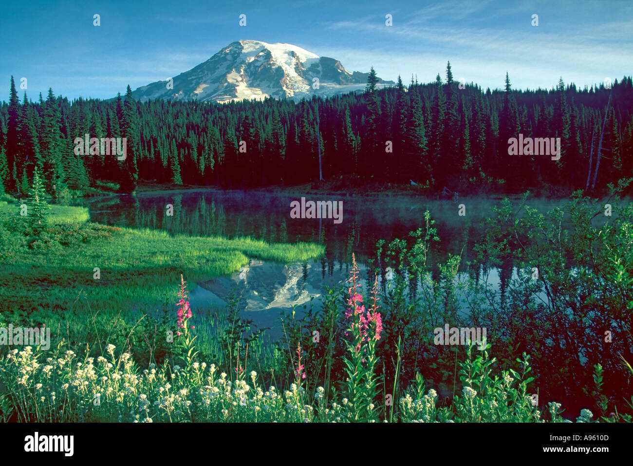 Mt Rainier reflected in Reflection Lakes Stock Photo - Alamy