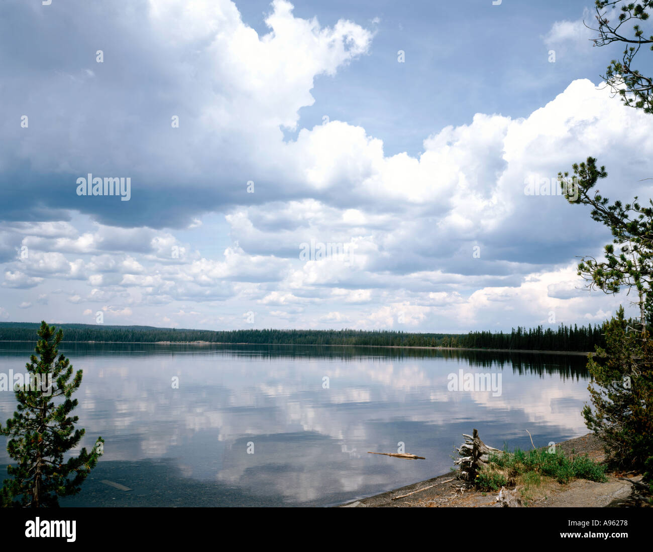 Yellowstone National Park in Wyoming showing Lewis Lake Stock Photo - Alamy