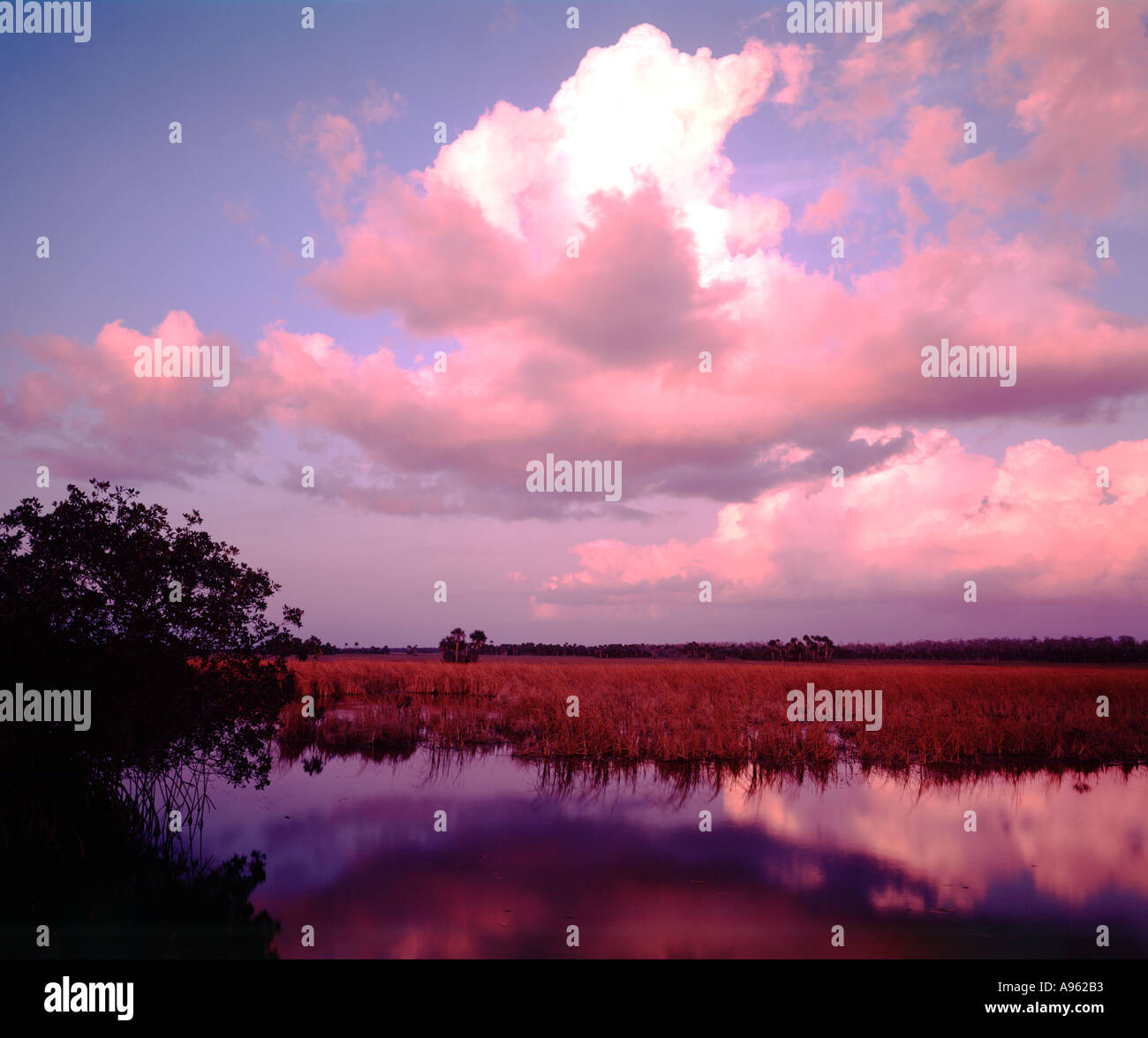 Everglades nationalpark hi-res stock photography and images - Alamy
