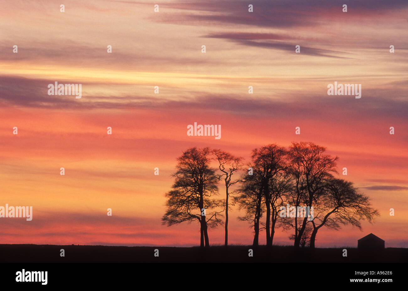 Sunset over trees nr Bath Avon England UK Stock Photo - Alamy
