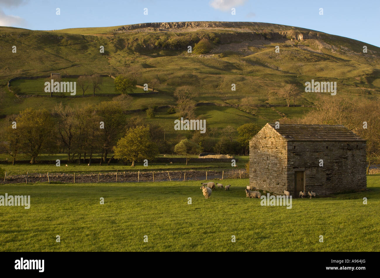 Swaledale Barn, Yorkshire Dales Stock Photo - Alamy