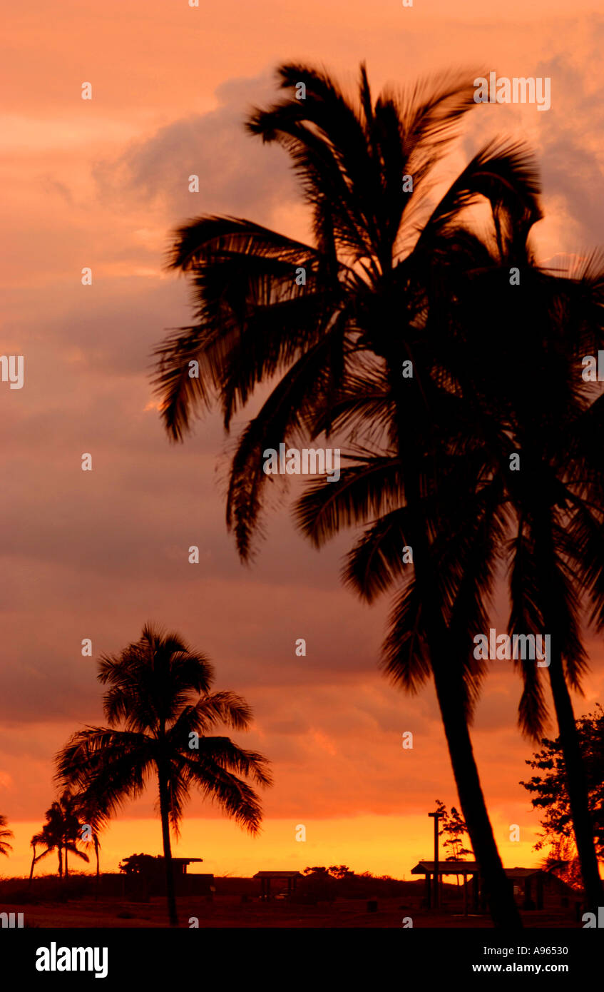 Vertical color image of vibrant sunset on island in Hawaii with ...