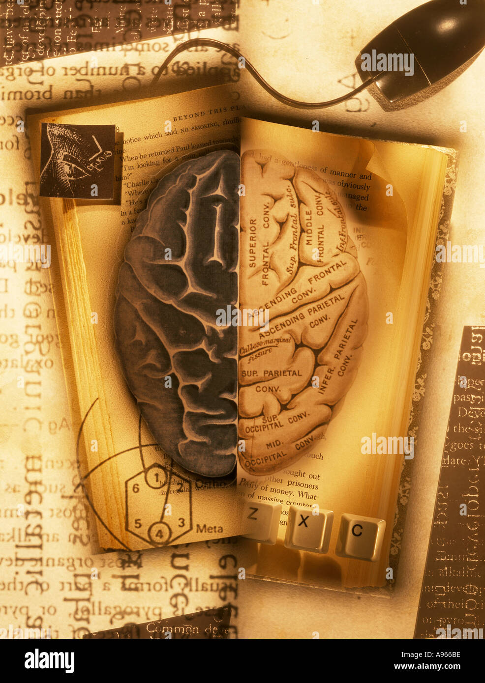 Brain Technology Montage Stock Photo - Alamy