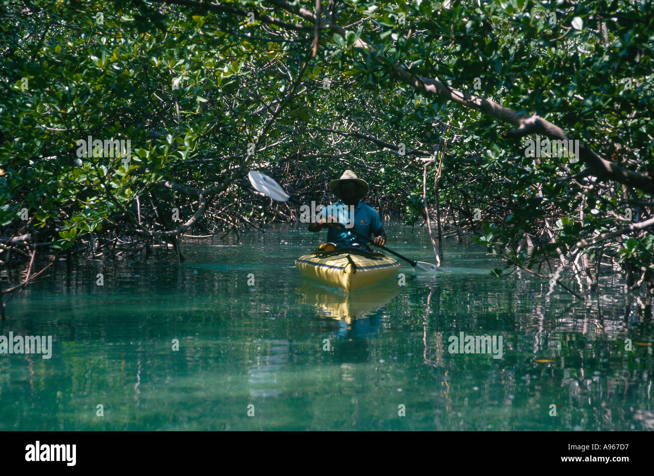 KAYAK NATURE TOUR GRAND BAHAMA BAHAMAS Bahamas Stock Photo - Alamy