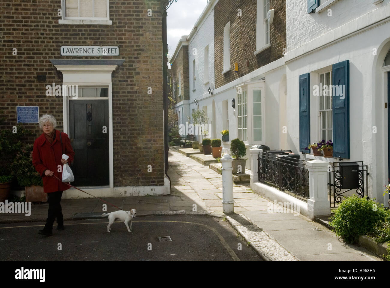 Middle aged woman walking her dog. Lawrence Street and Upper Cheyne Row ...