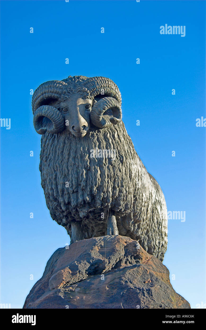 Moffat ram scotland hi-res stock photography and images - Alamy