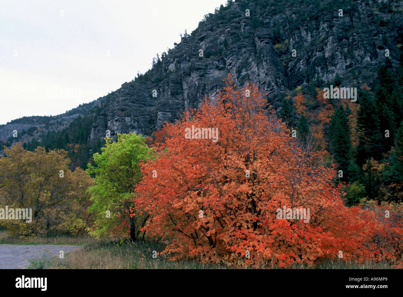 Logan River, Utah Stock Photo - Alamy
